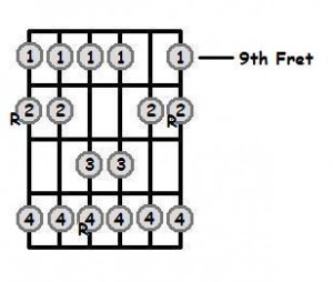D Major Scale on the Guitar - CAGED Positions, Tabs and Diagrams